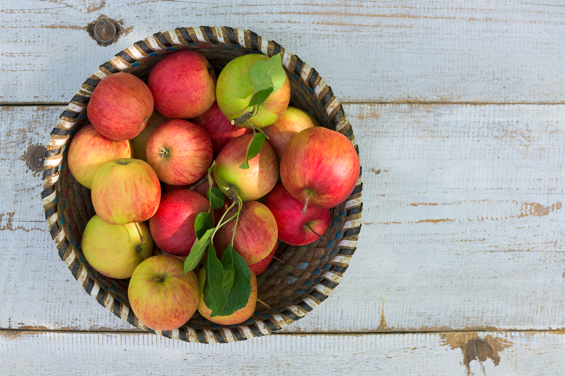 Ernestine and the Ben Davis Apple – Mother Earth News